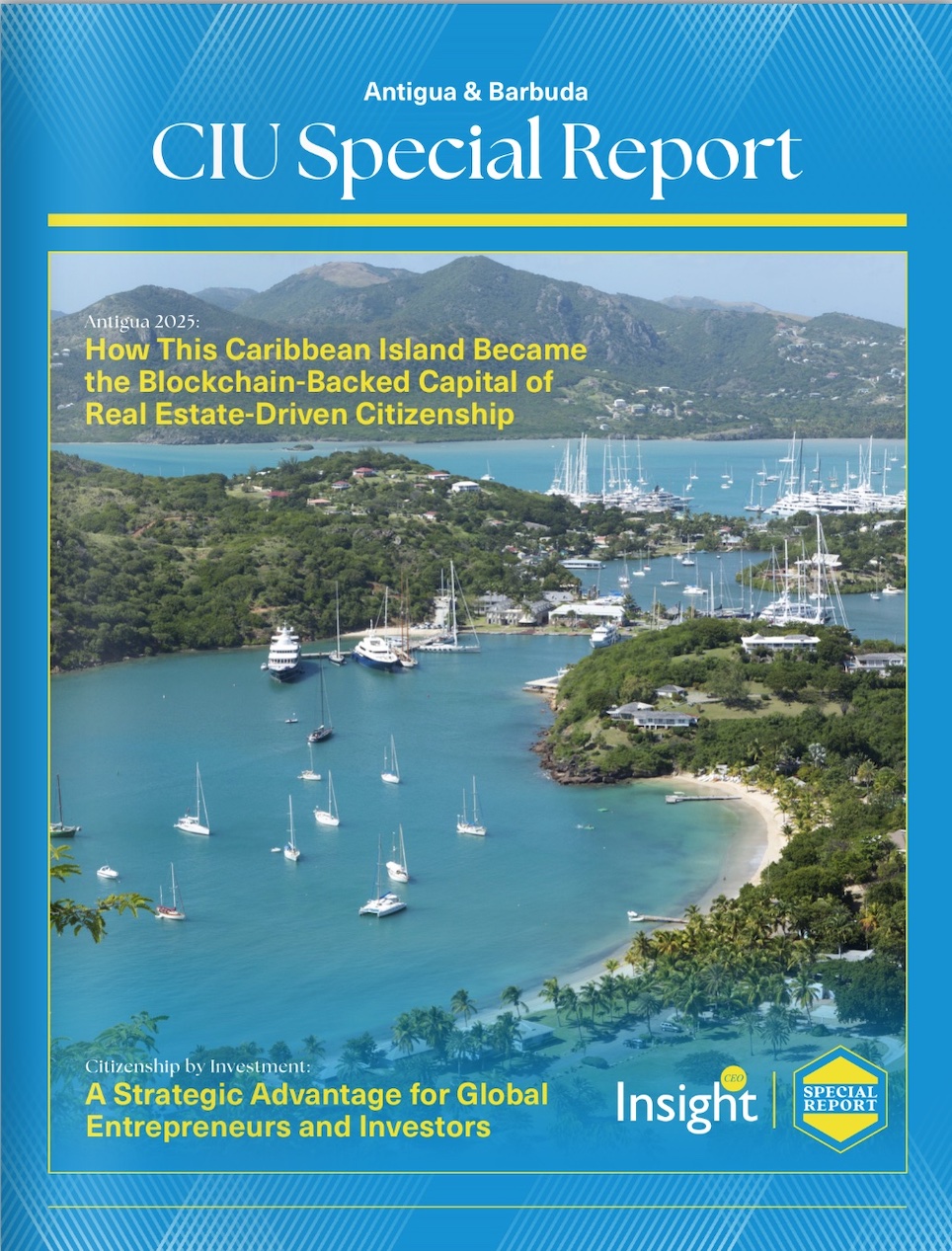 CIU REPORT - CEO Insight